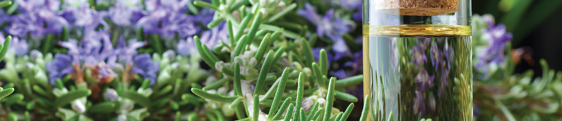 Naturally Fiji | Our Ingredients